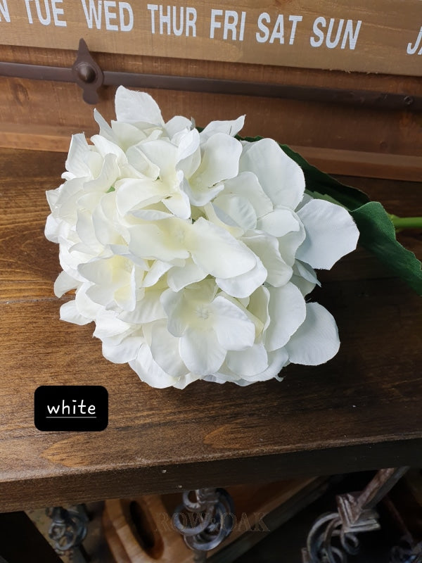 Hydrangeas – Row & Oak